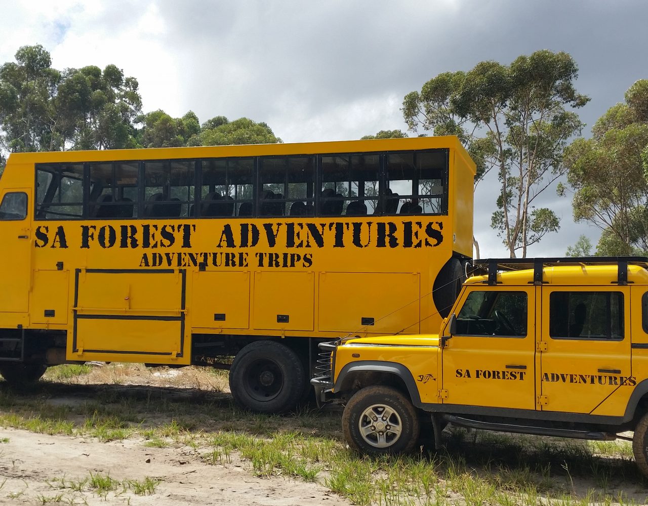 Ziplines – SA Forest Adventures