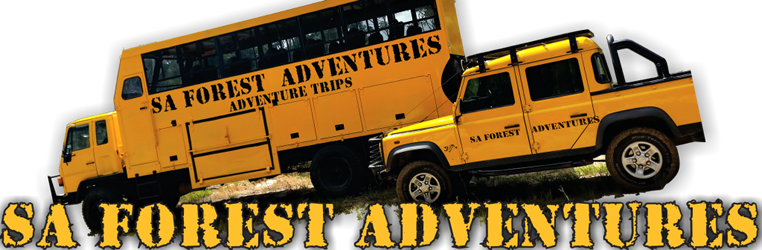 Home · SA Forest Adventures