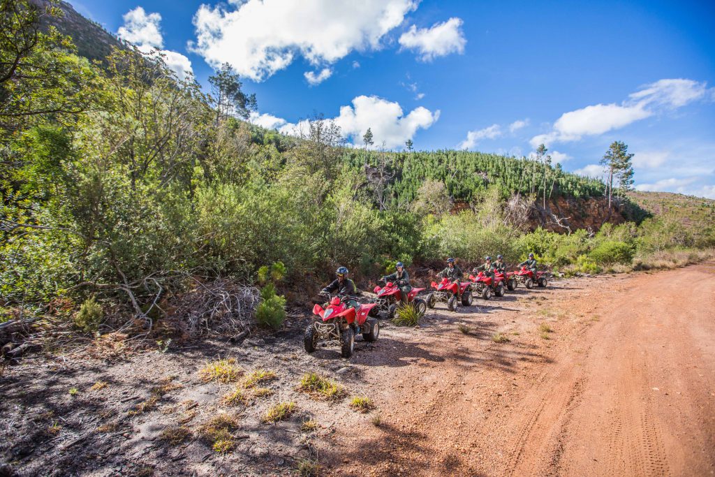 sa forest adventures7 · SA Forest Adventures